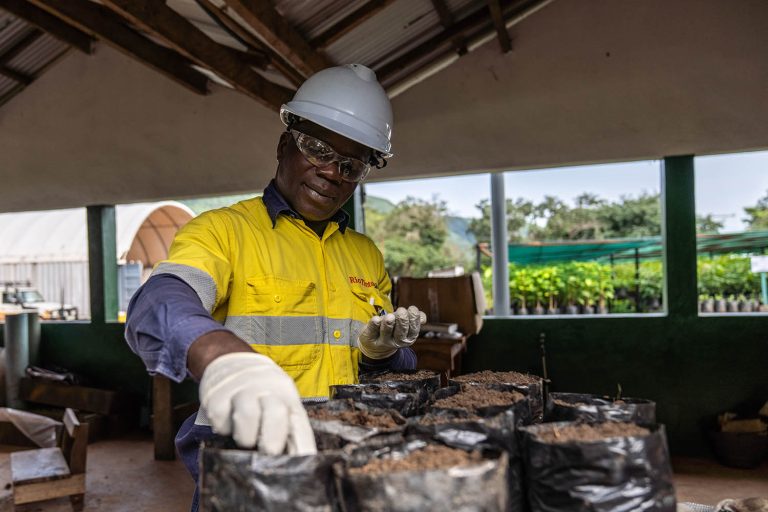 Leading Biodiversity Conservation at Simandou through Seed Collection ...